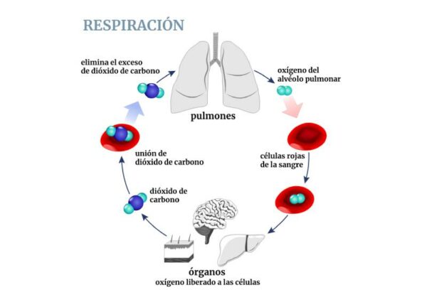 ¿Cómo respirar y no ahogarme en el intento?